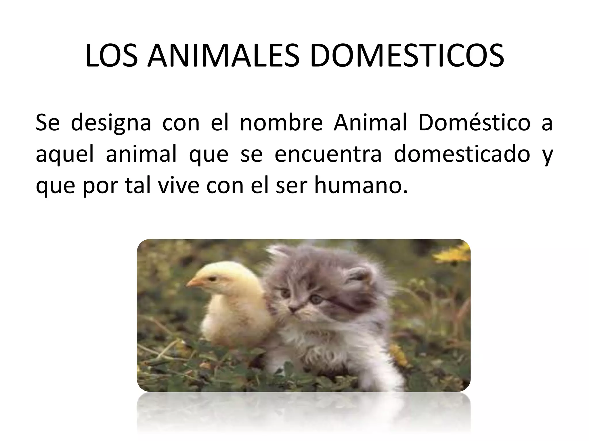 Los animales domesticos | PPTX