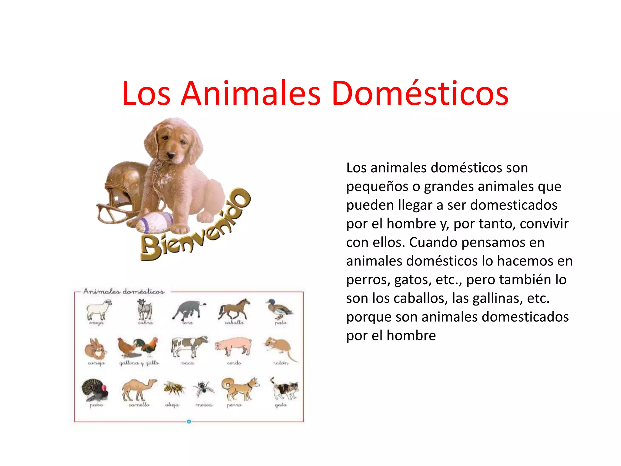Los animales domésticos con gifs | PPT