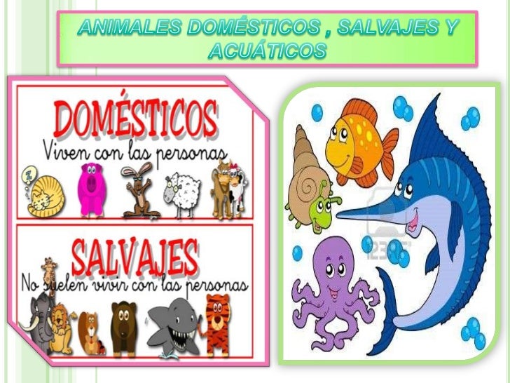Los animales Domésticos, Salvajes y Acuáticos