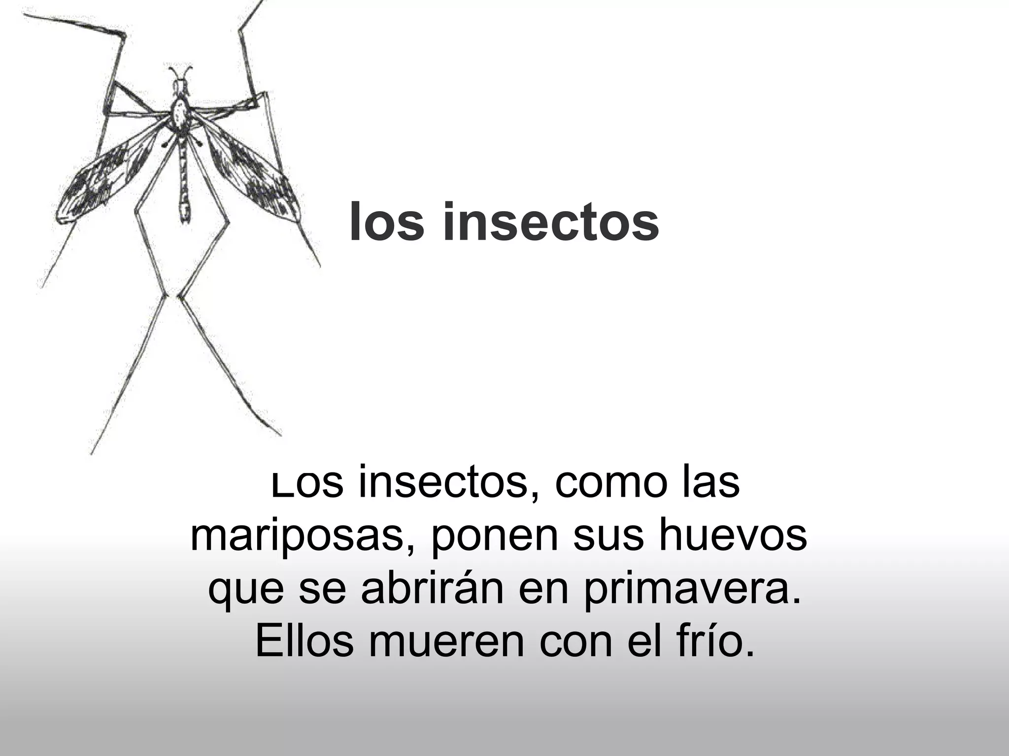 los animales en otoño | PPT