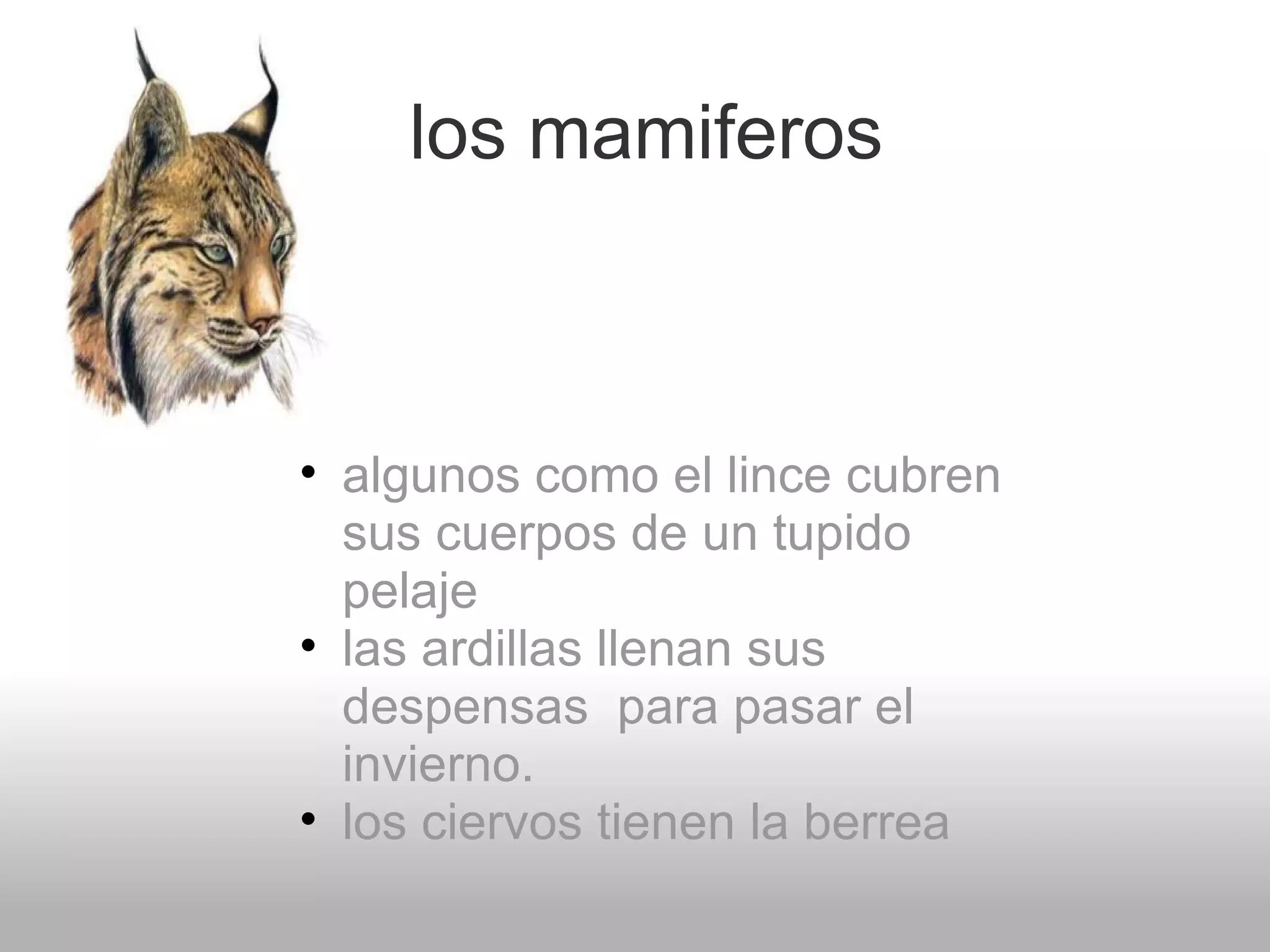 los animales en otoño | PPT