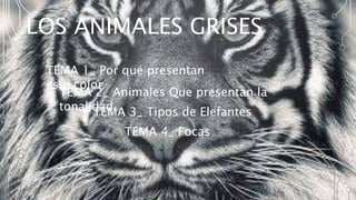Los animales grises | PPTX