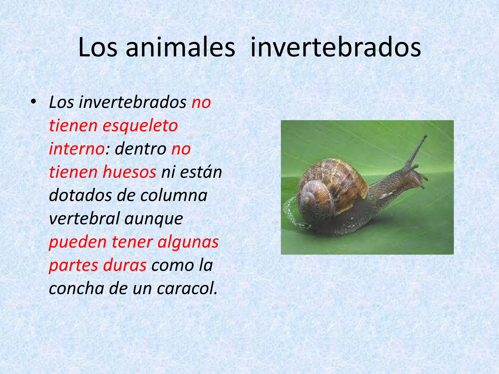 Los animales invertebrados | PPTX
