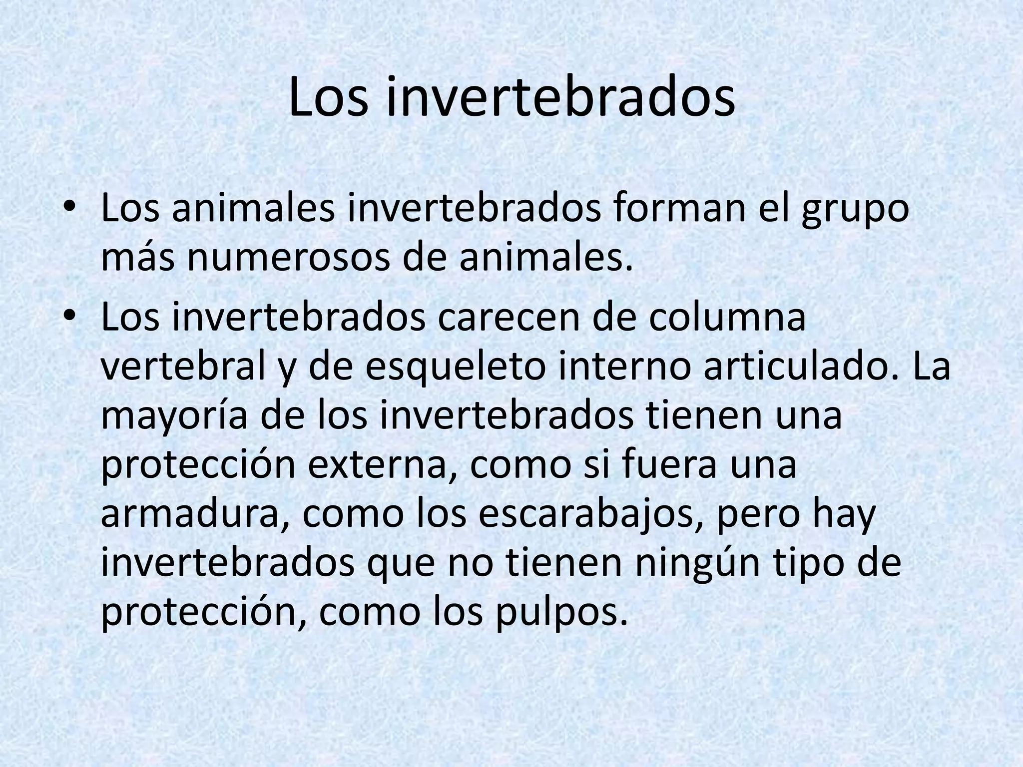 Los animales invertebrados | PPTX
