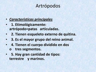 Los animales invertebrados | PPTX