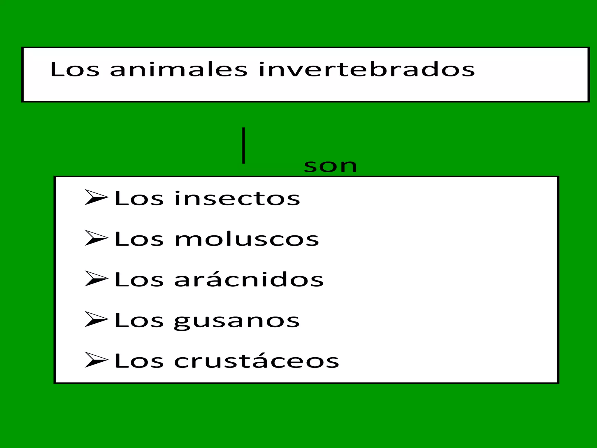 Los animales invertebrados | PPTX