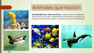 Los animales, alimentacion, proteccion y hábitat | PPSX
