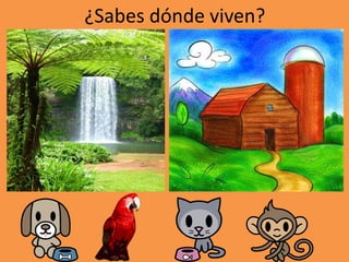 Los animales. Educación Infantil. | PPSX