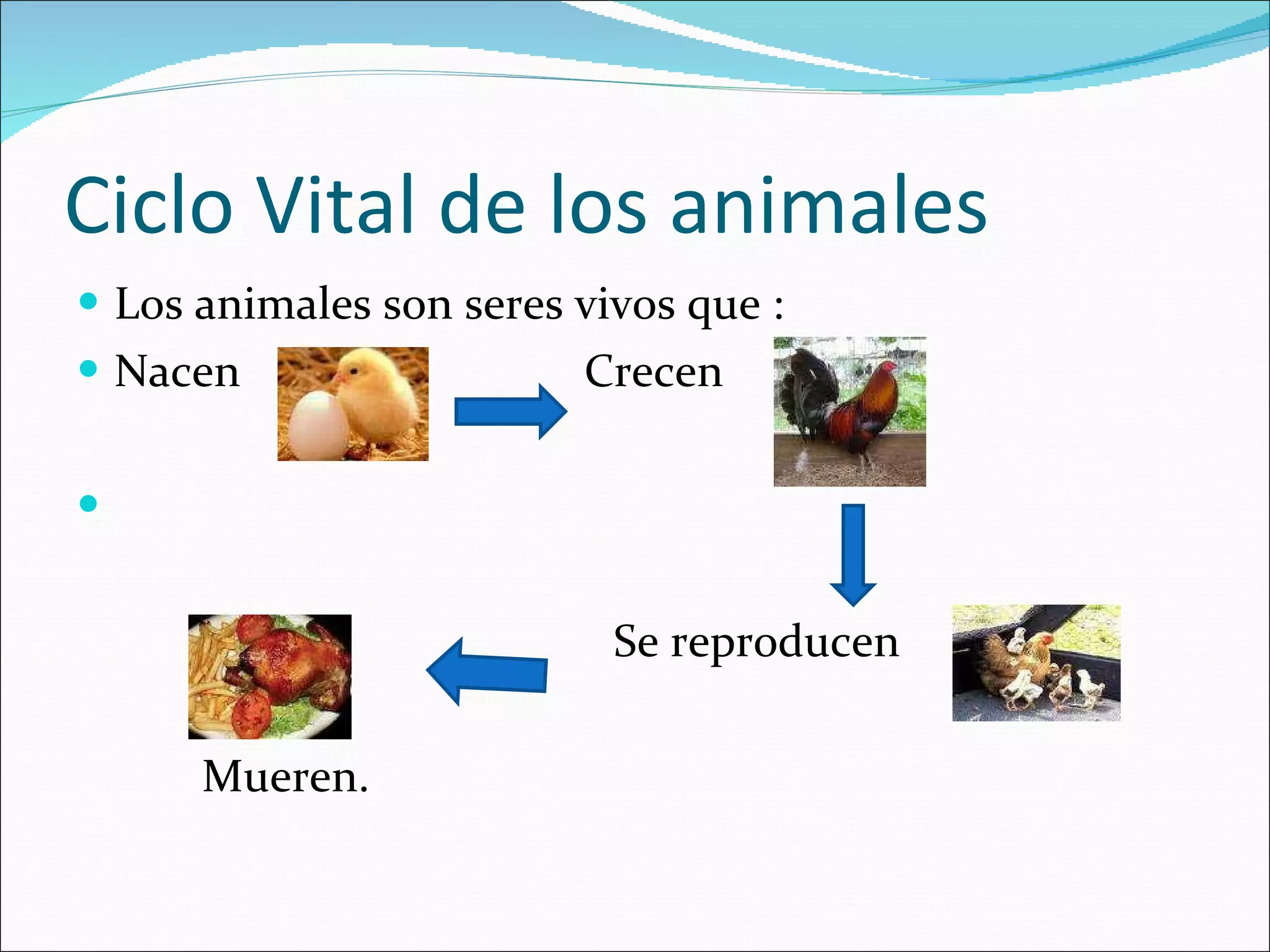 Los animales ppt | PPT
