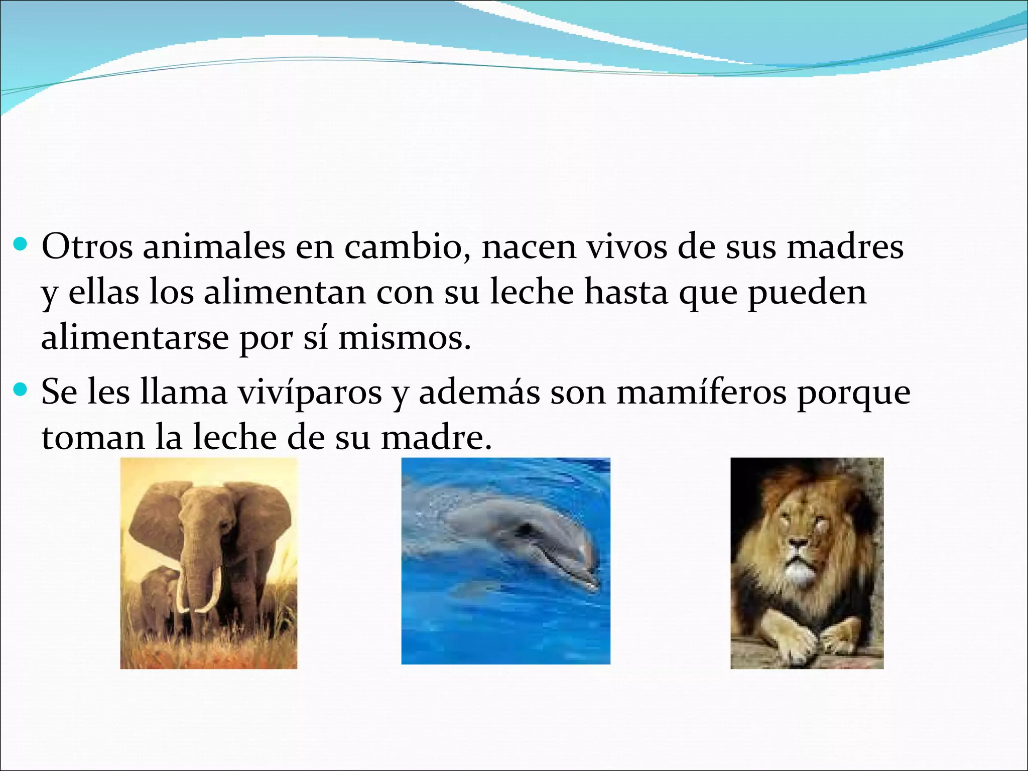 Los animales ppt | PPT