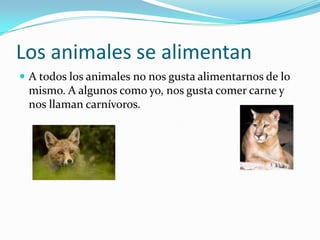 Los animales ppt | PPTX