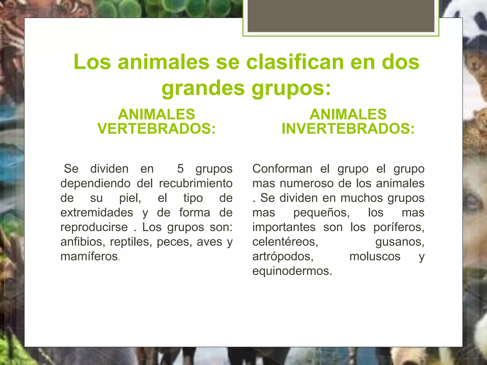 LOS ANIMALES TAREA 5.pptx