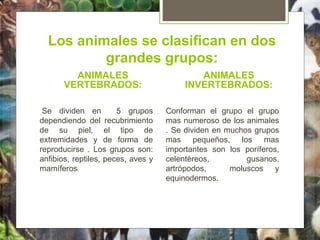 LOS ANIMALES TAREA 5.pptx