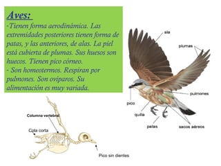 Los animales vertebrados | PPS