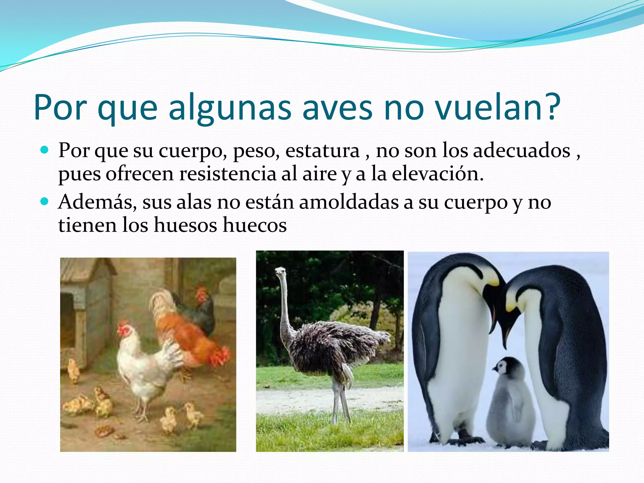 Los animales vertebrados | PPT