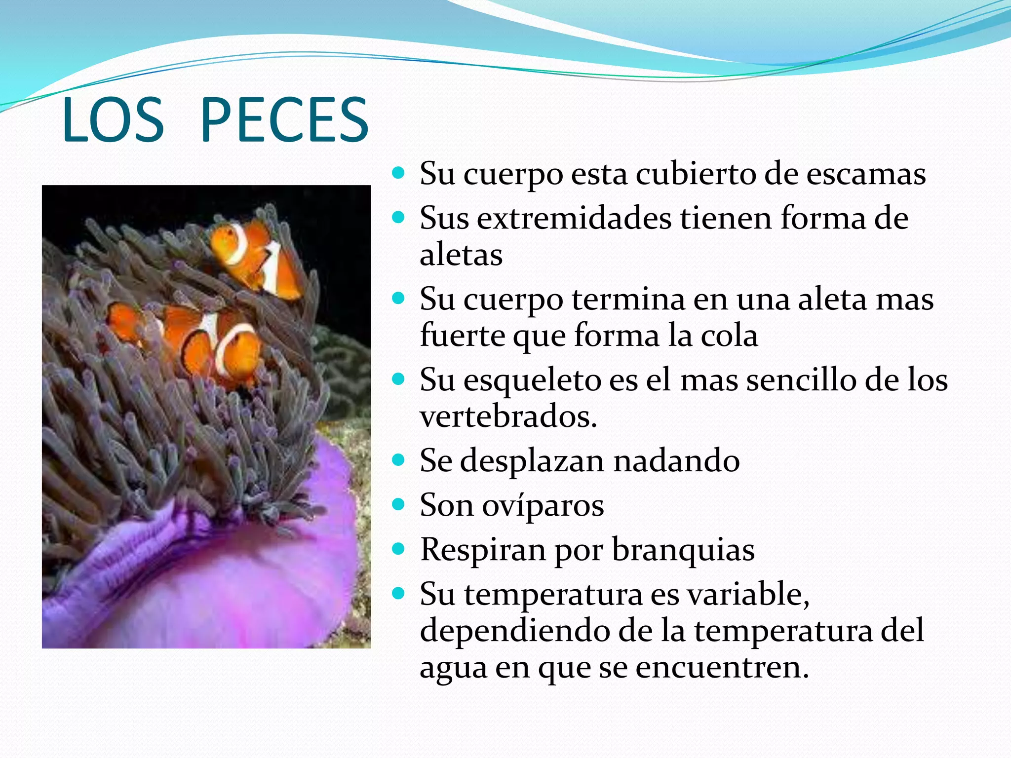 Los animales vertebrados | PPT