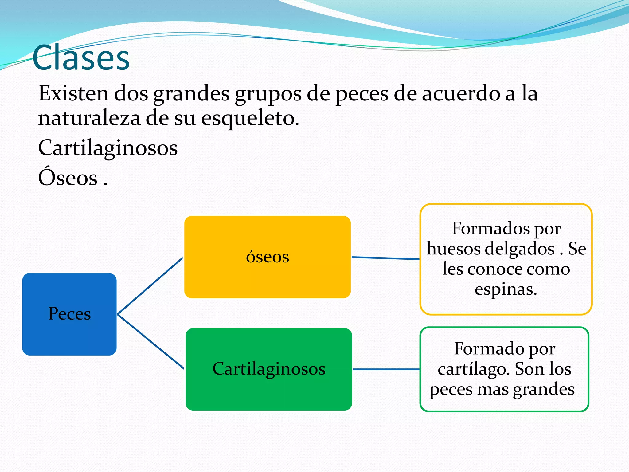 Los animales vertebrados | PPT