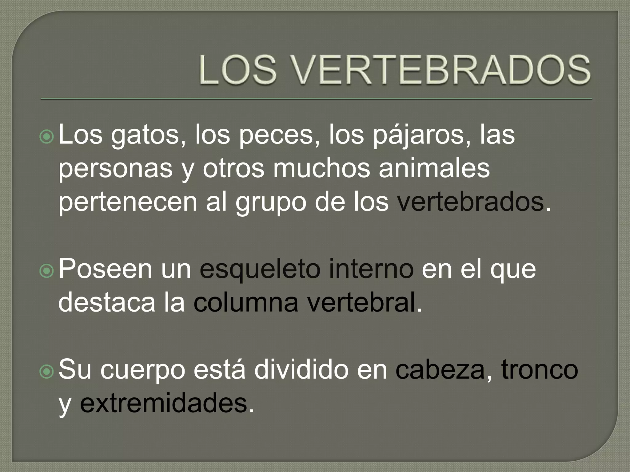 Los animales vertebrados | PPTX