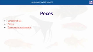 Los animales vertebrados | PDF