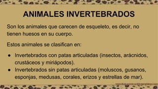 Los animales vertebrados e invertebrados para Primaria | PDF
