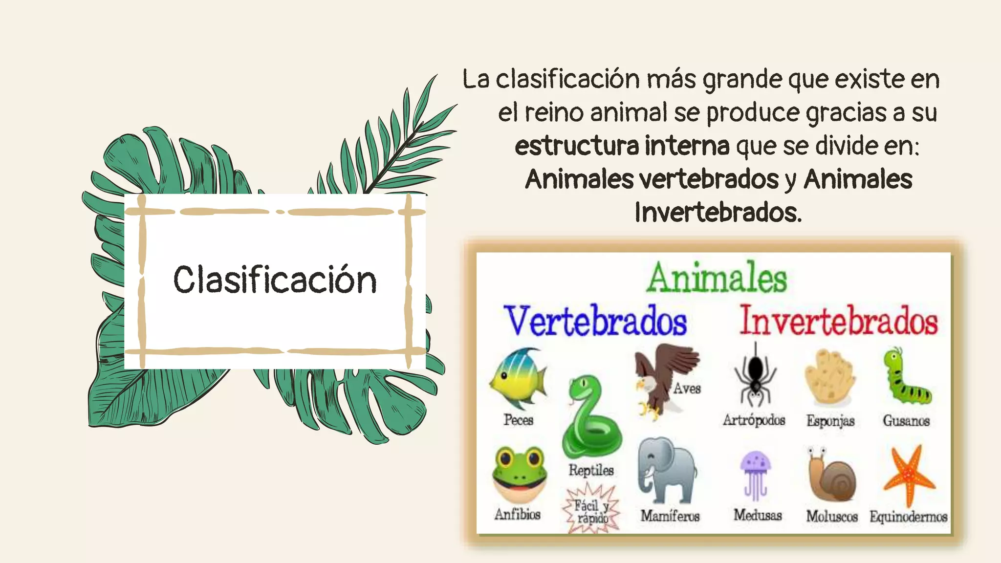 Vertebrados E Invertebrados