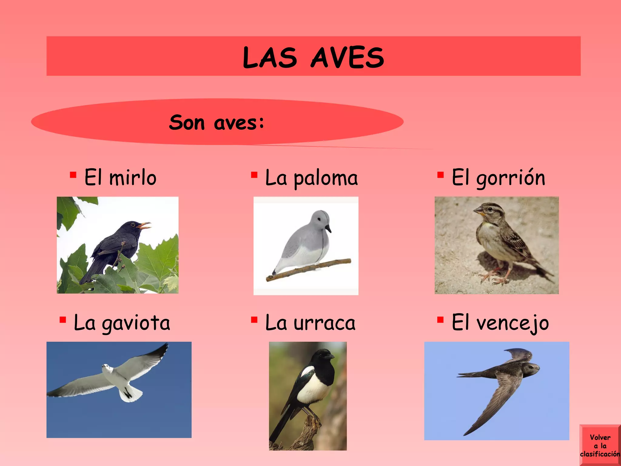 Los animales vertebrados ud4 | PPT | Reptiles | Pets