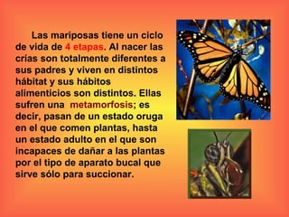 Los animales y su ciclo de vida | PPT