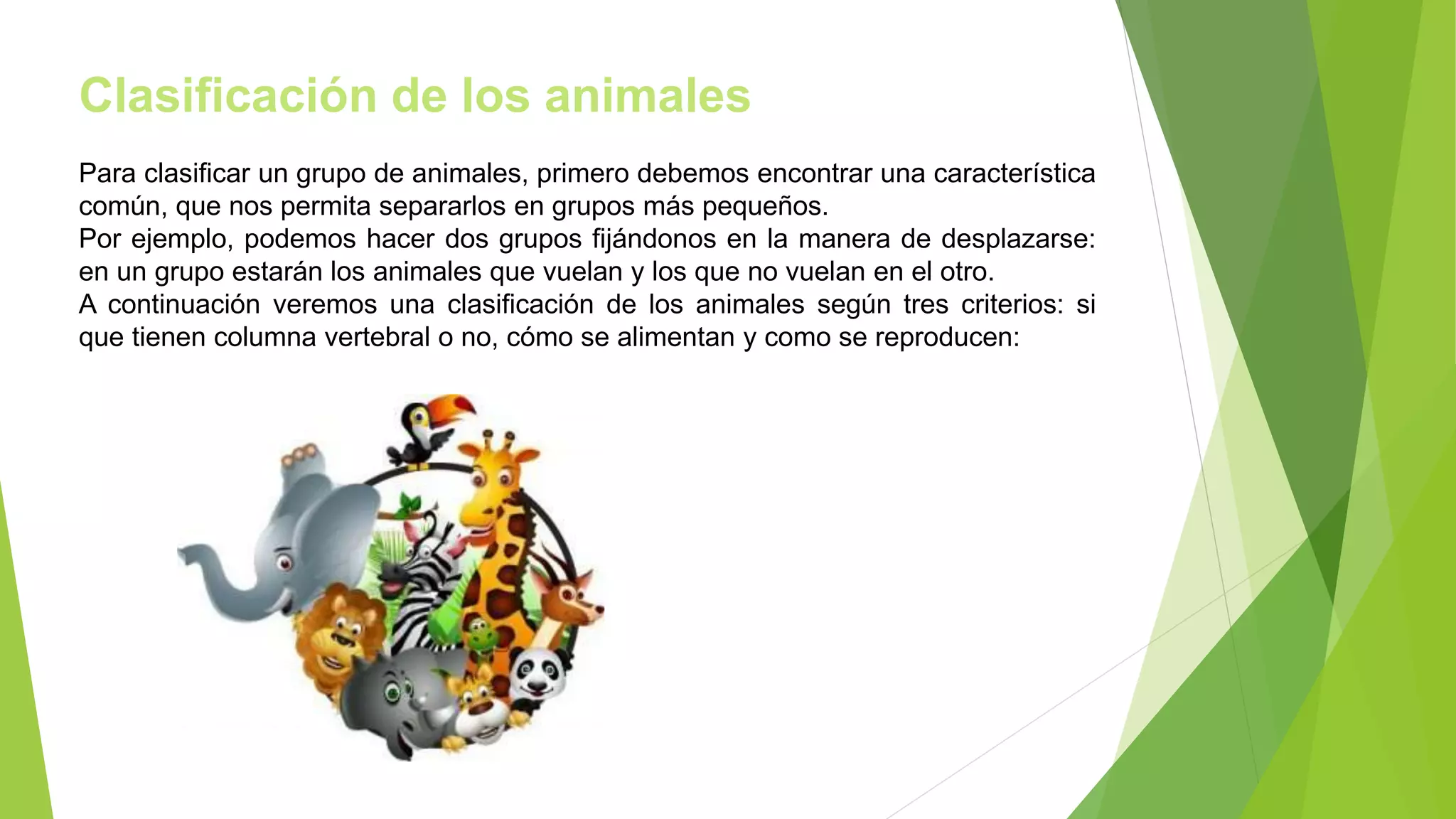 Los animales y su clasificacion | PPT