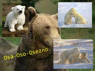 Los animales y sus crias | PPS