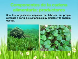 Los animales y sus ecosistemas | ODP | Geography | Science