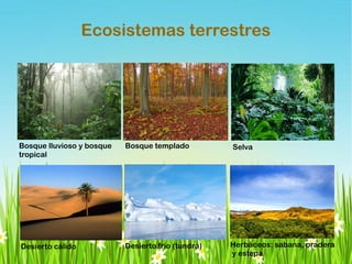 Los animales y sus ecosistemas | PPT