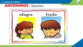 Los antonimos | PPTX