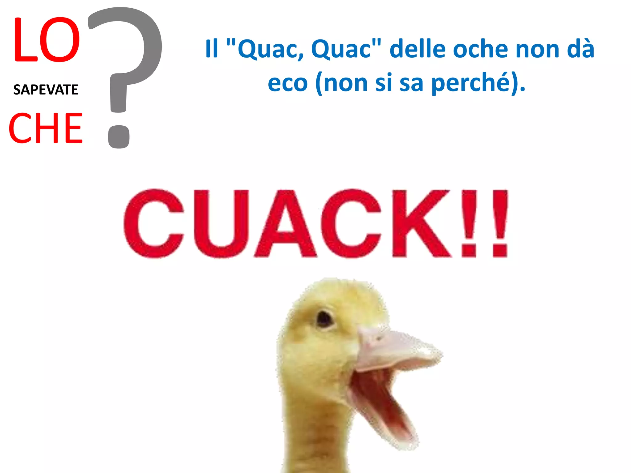 Lo sapevate che...? | PPTX