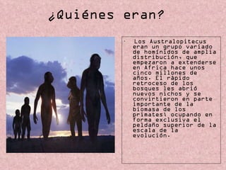 Los australopithecus | PPT