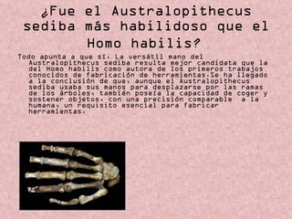 Los australopithecus | PPT