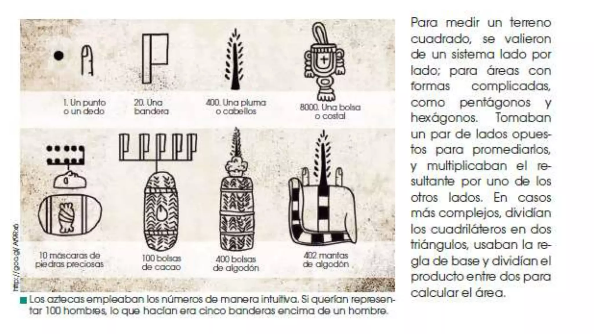 Los aztecas y sus numeros de maiz | PPTX