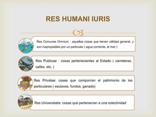 Los bienes | PPTX