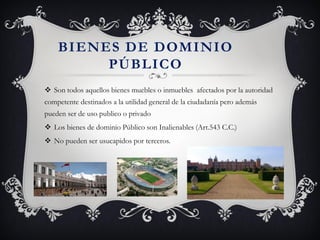 Los bienes de dominio público y de dominio privado | PDF