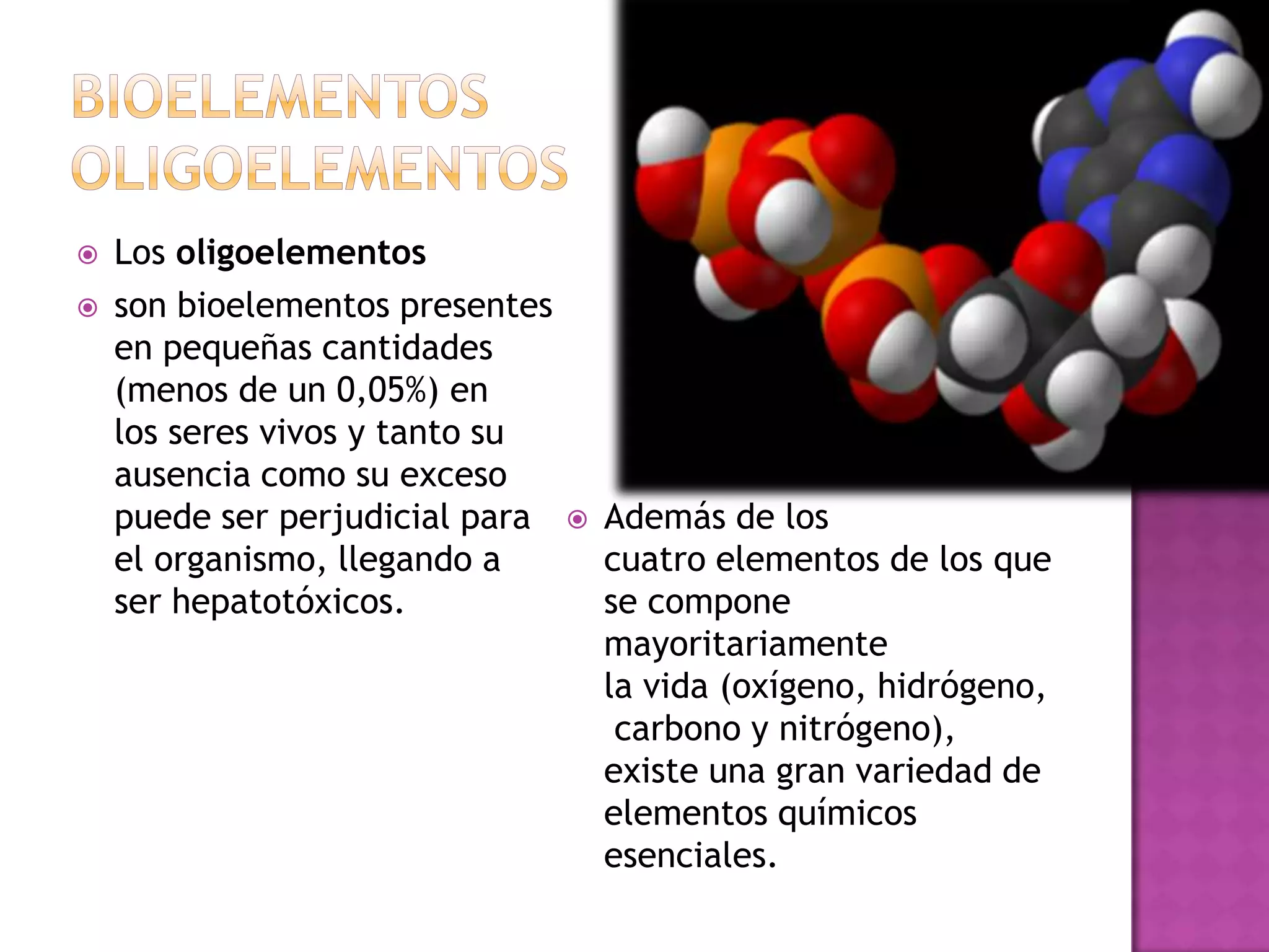 Los bioelementos | PPT