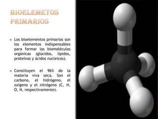 Los bioelementos | PPTX