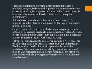 Los bioelementos por alvaro medina b. | PPTX