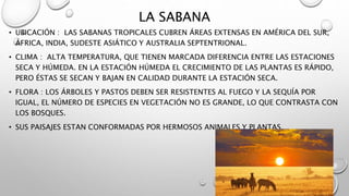Los biomas | PPTX