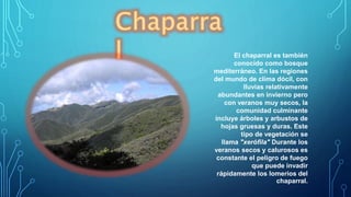 Los biomas | PPTX