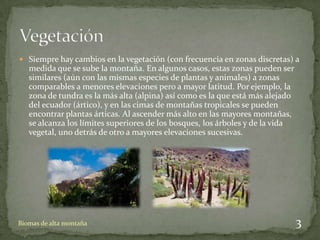 Los biomas de alta montaña | PPTX