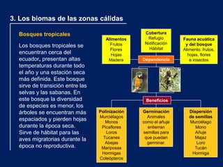 Los Biomas del Mundo | PDF