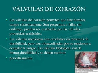 Los biomateriales | PPTX