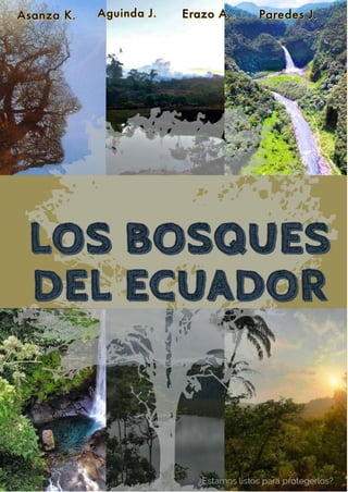 LOS BOSQUES DEL ECUADOR | PDF