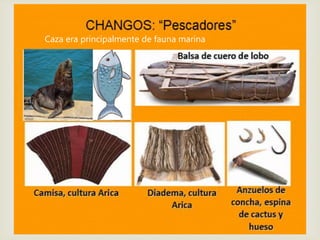 Los changos.pptx
