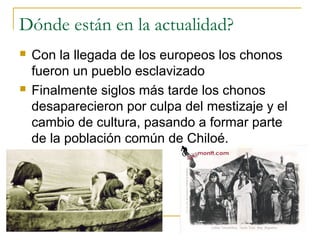 Los chonos | PPT