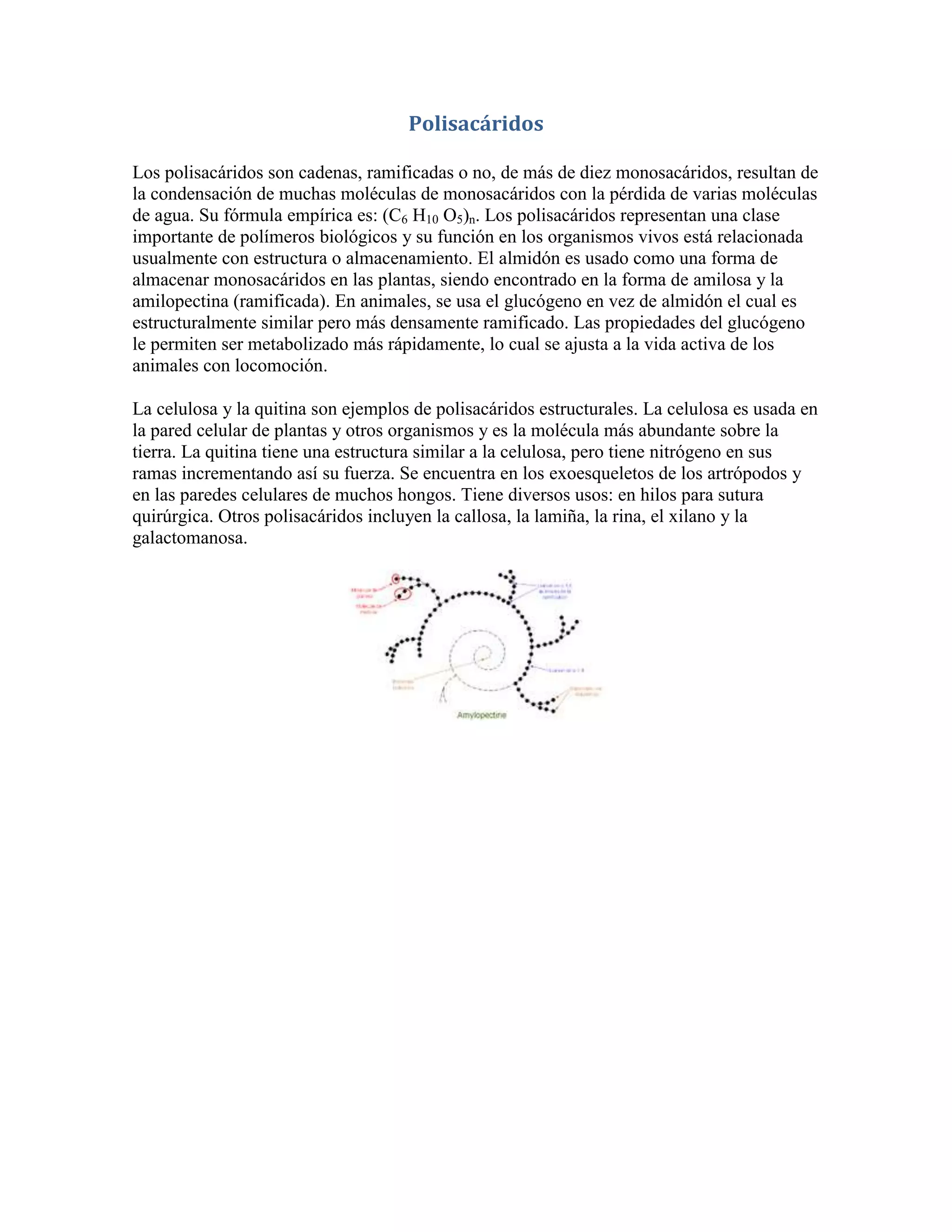 Los chonps y los carbohidratos | PDF